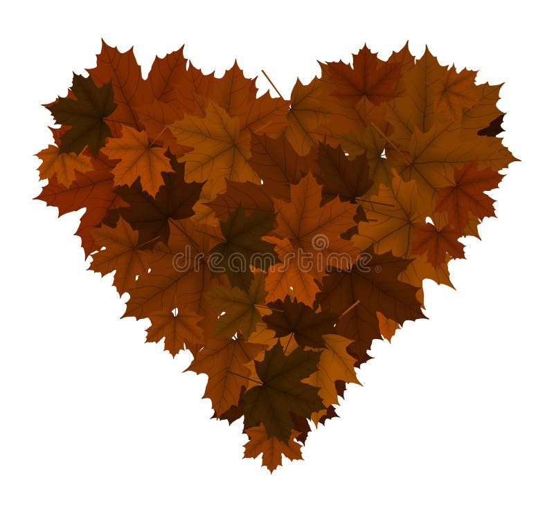 Heart of maple leaves stock illustration. Illustration of beautiful ...