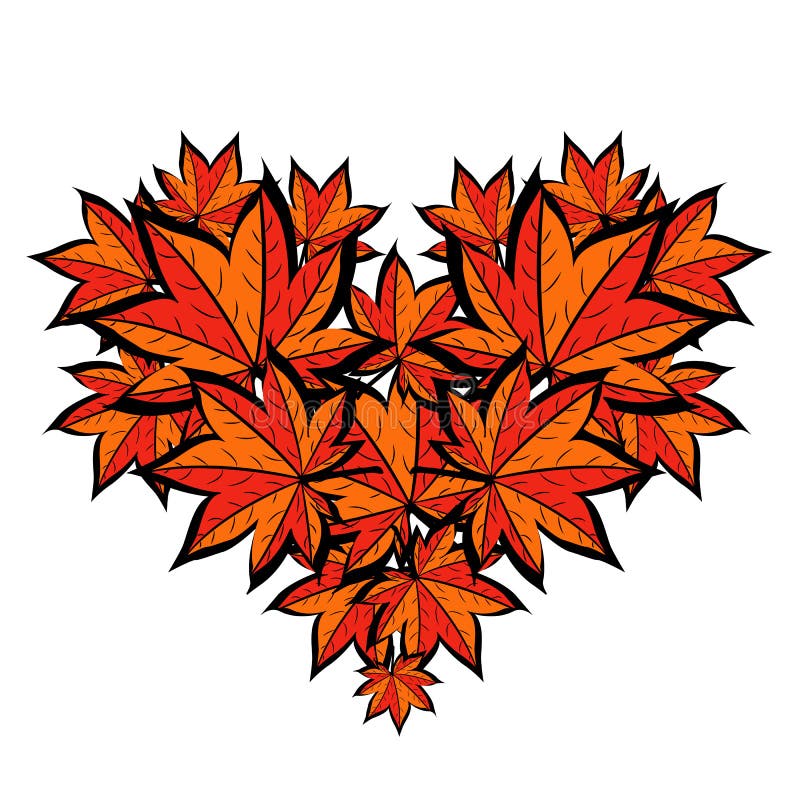 Heart from maple leaves. stock vector. Illustration of nature - 78075539