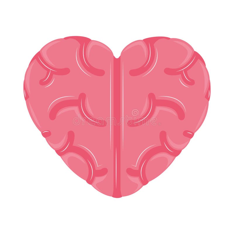 Heart mind anatomy stock illustration. Illustration of emotion - 370011386