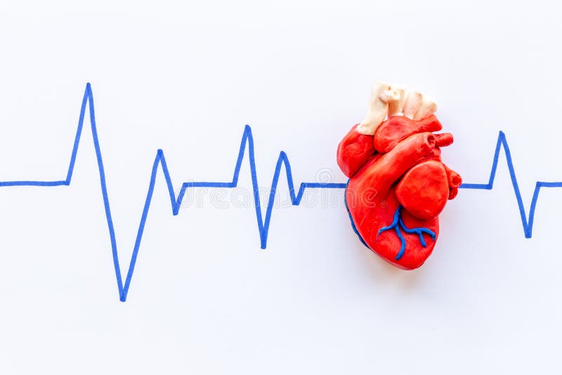 Heart Model with Heartbeat or Heart Rate Top View Stock Image - Image ...