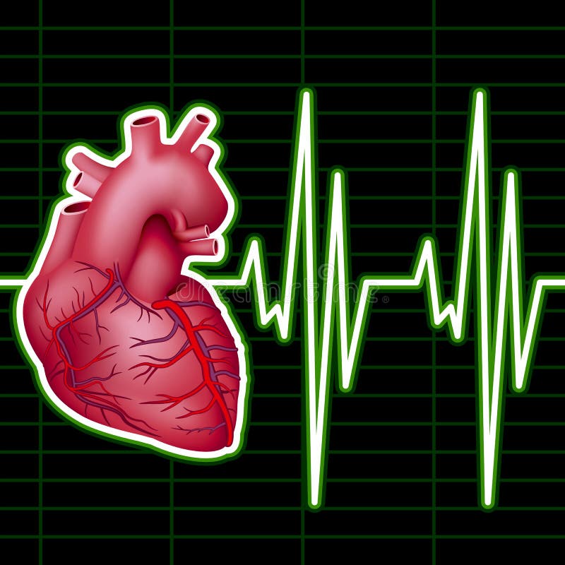 Heart Monitor stock vector. Illustration of life, green - 17168845