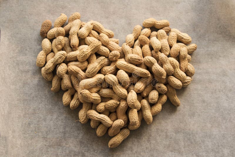 Heart Peanuts stock image. Image of textured, brown, tasty - 28305031