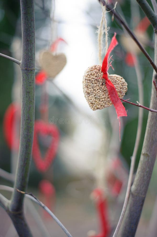 Heart Ornament with Red Ribbon Stock Image - Image of ribbon, valentine ...