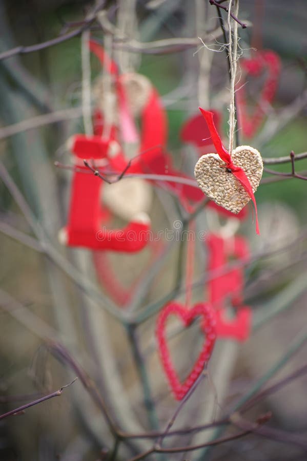 Heart Ornament with Red Ribbon on a Tree Stock Image - Image of ...