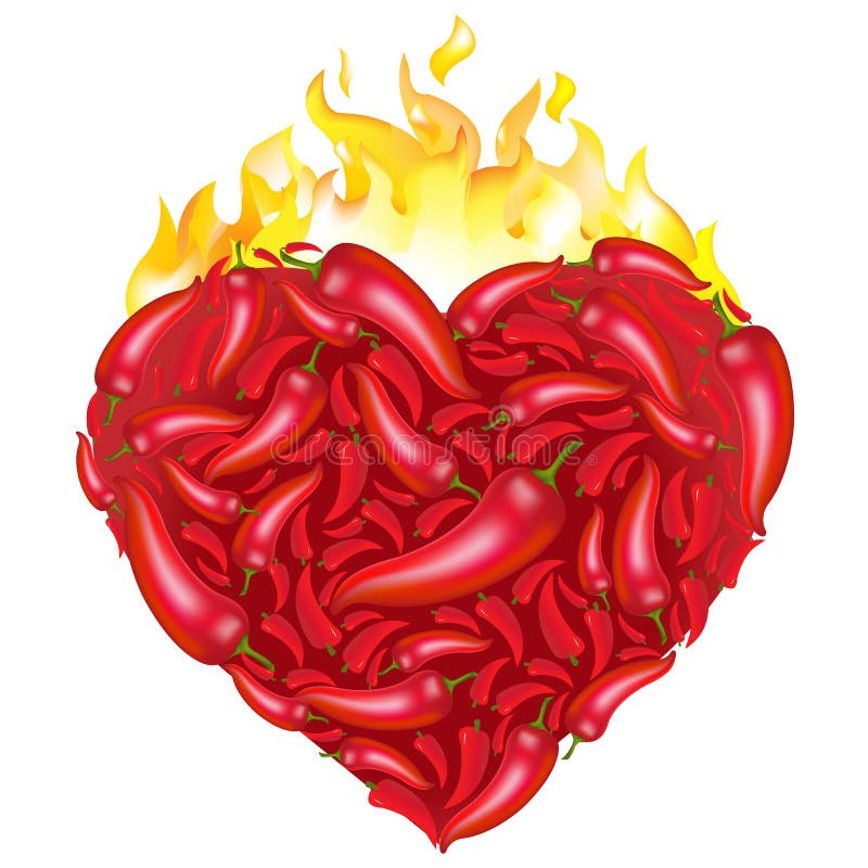 Chili Pepper Heart stock vector. Illustration of cooking - 195735370