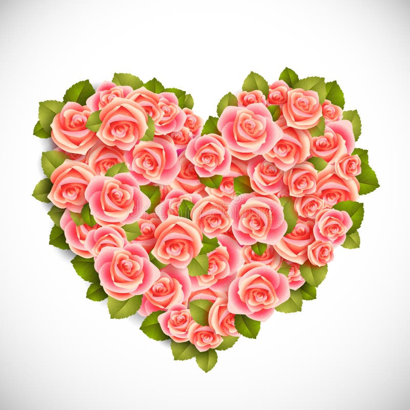 Heart Bouquet of Pink Roses. Vector Illustration. Stock Vector ...