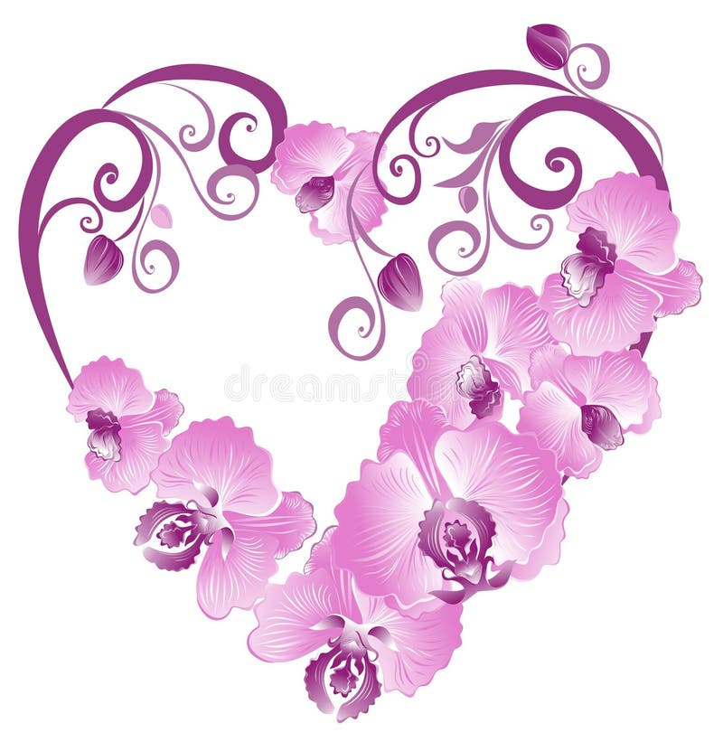 Purple Orchid Vector Illustration Stock Illustrations – 5,801 Purple ...