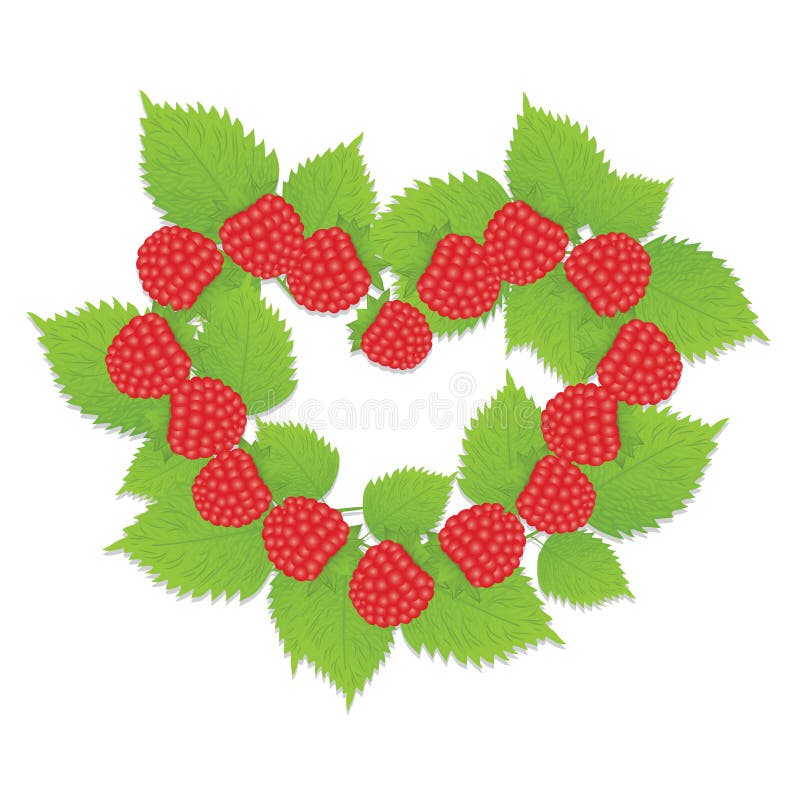 The Heart of Raspberry and Raspberry Leaf Stock Vector - Illustration ...