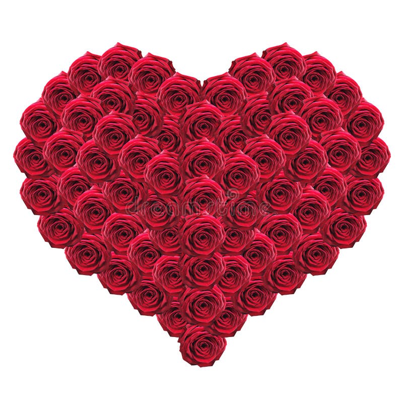 Heart of red roses stock photo. Image of plant, symbol - 26285744