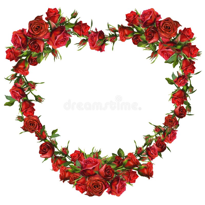 Heart of red roses stock illustration. Illustration of bunches - 27927679