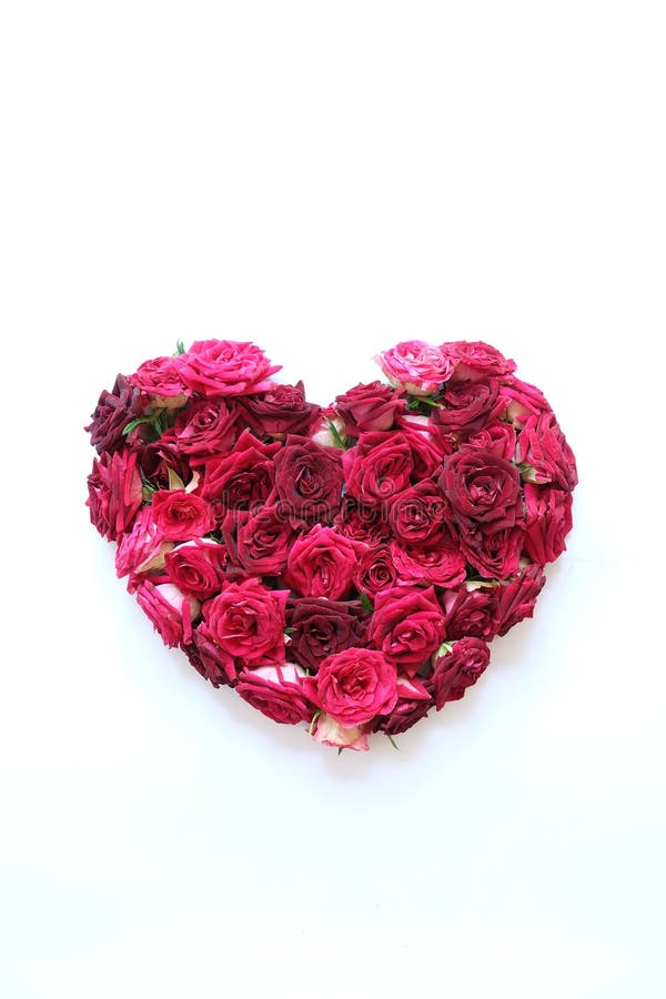 Heart of red roses stock image. Image of flora, luxury - 72068041