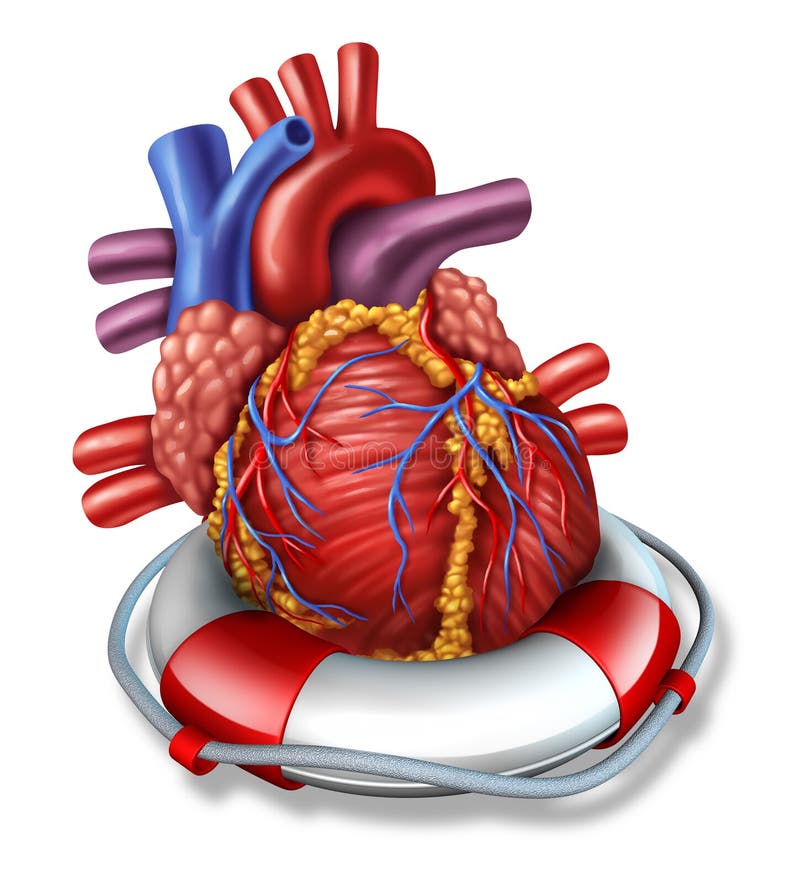 Cardiovascular Symbol Stock Illustrations – 7,925 Cardiovascular Symbol ...