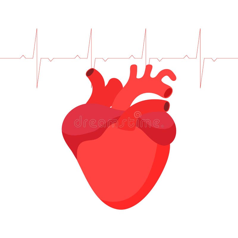 Heart Research or Diagnotic Concept. Big Heart with Cardiogram. Flat ...