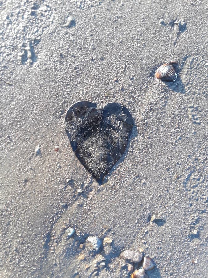 Heart on the river bank stock image. Image of imag3 - 174177469