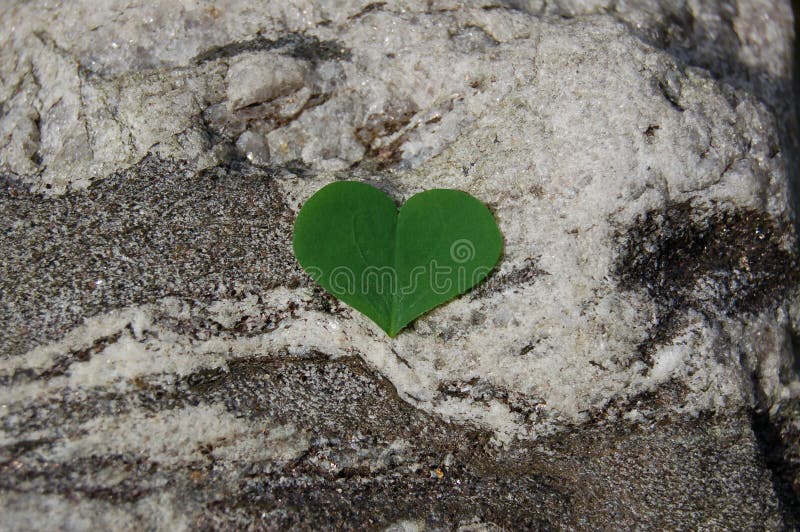 Heart on Rock stock photo. Image of abstract, rock, love - 8360246