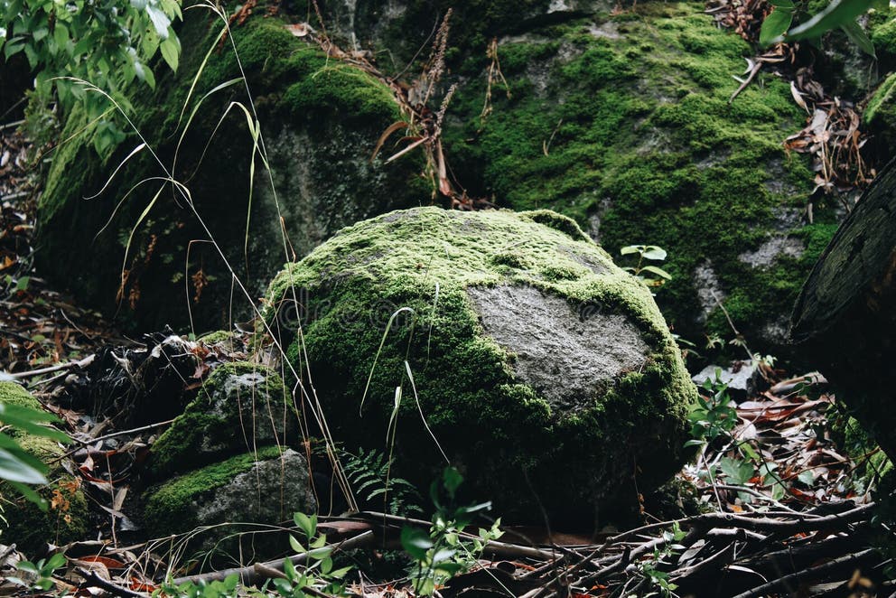 Heart on a rock stock photo. Image of preset, processed - 164251916