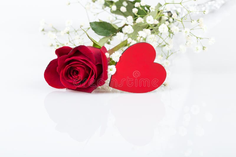 Heart and rose on white stock image. Image of flirt, decoration - 36851601