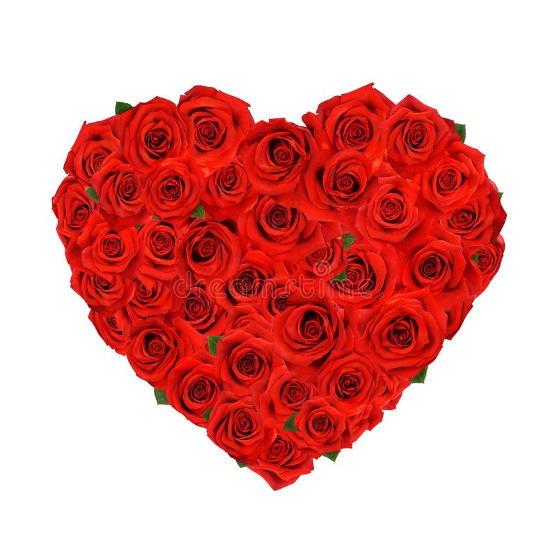 Heart of Roses Valentine S Day Concept Stock Photo - Image of closeup ...
