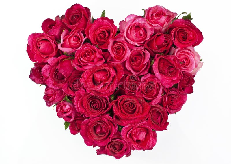 Heart of roses stock photo. Image of shape, heart, passion - 22908256