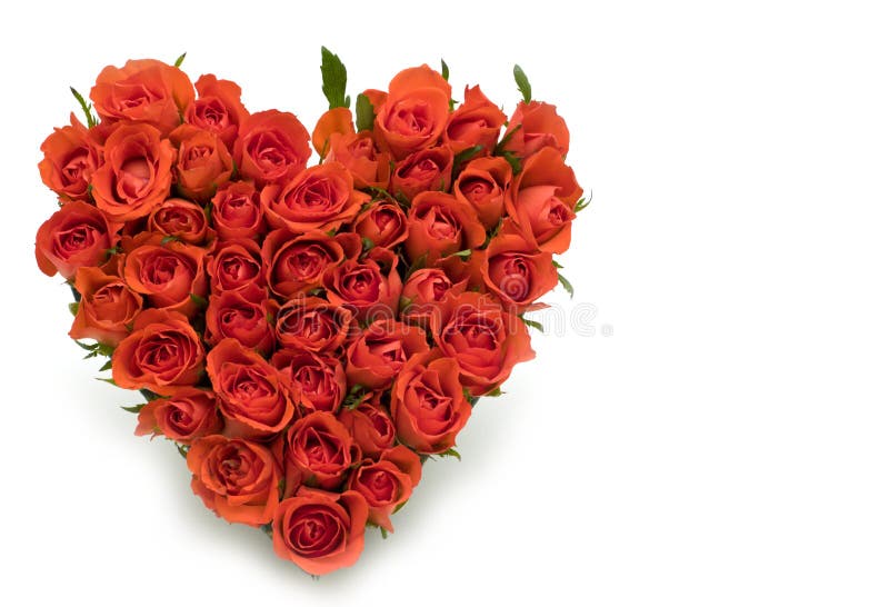 Heart of red roses stock photo. Image of background, love - 42799892