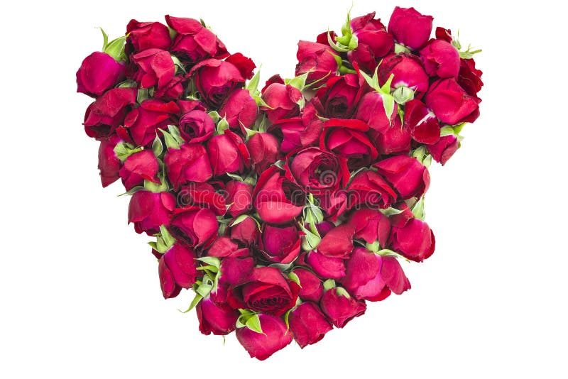 Heart of Roses stock photo. Image of anniversary, rose - 38585290