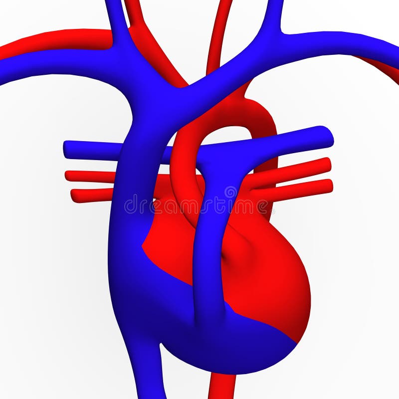 Heart scheme stock illustration. Illustration of render - 10635918
