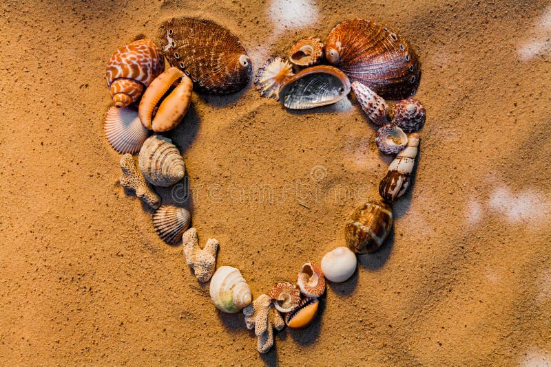 Heart of Sea Shells on a Sandy Beach. Background Stock Photo - Image of ...