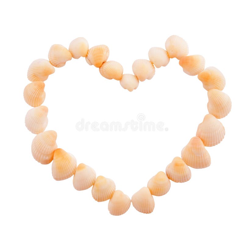 Heart Seashells Love stock vector. Illustration of seashell - 117325025