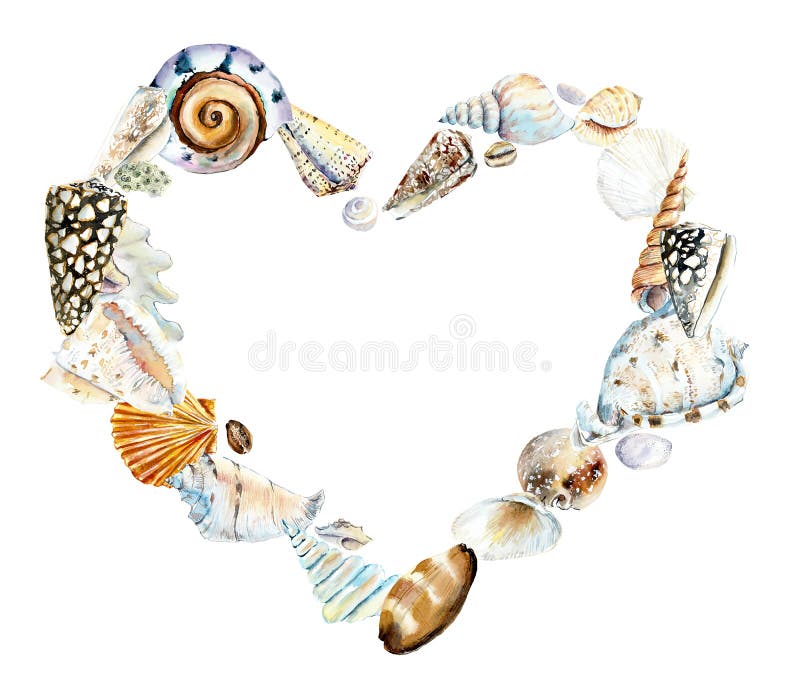 Heart of Seashells. Watercolor Illustration Stock Illustration ...