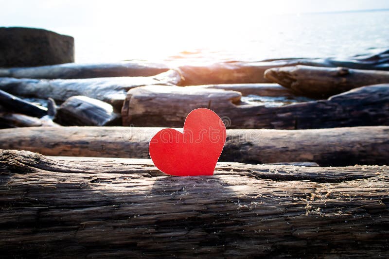 Heart on the Seashore stock photo. Image of shape, natural - 288498402