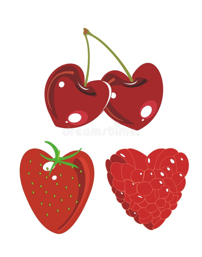 Heart shape berries stock vector. Illustration of berry - 3952319