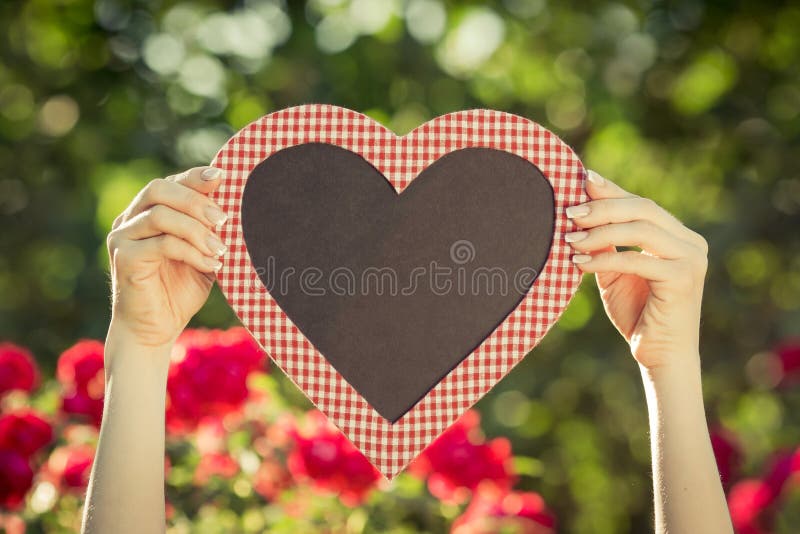 Frame of flower petal stock image. Image of dark, rose - 20435525