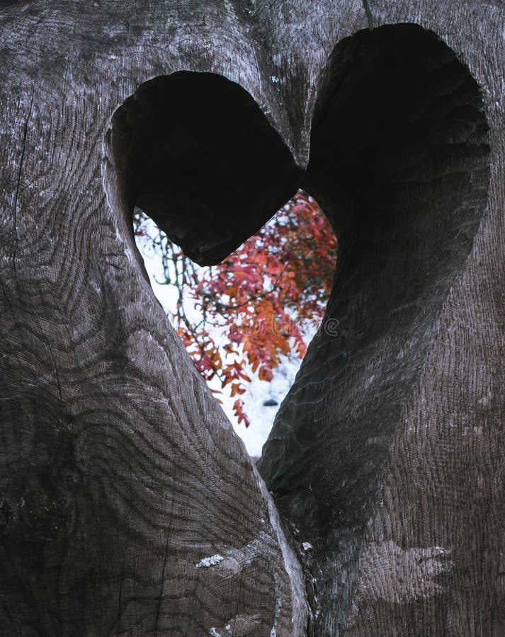 Heart Shape Carved in Solid Wood Stock Photo - Image of material, heart ...