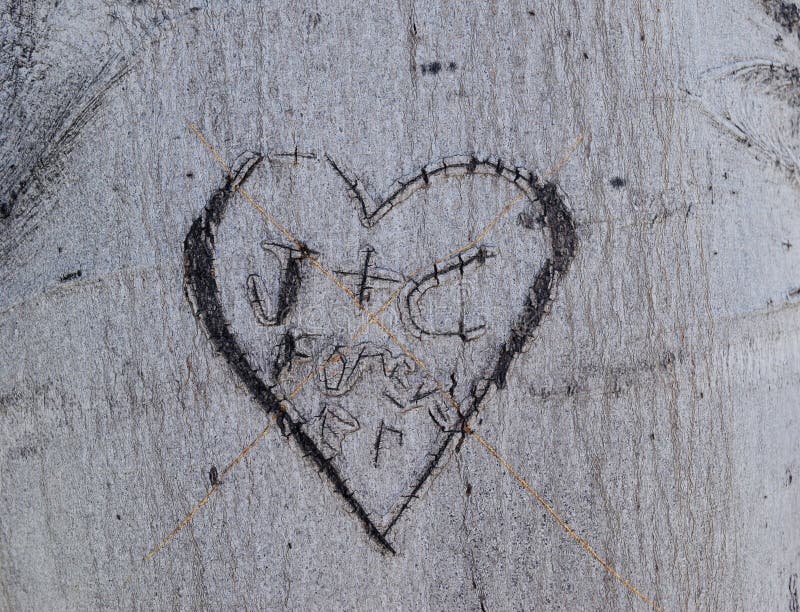 Heart Shape Carved on a Tree Trunk with Initials Stock Image - Image of ...
