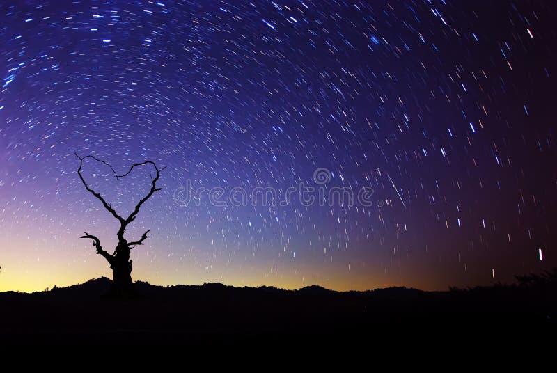 Heart Shape of Dead Tree with Star Trails Movement at Night Sky. Stock ...