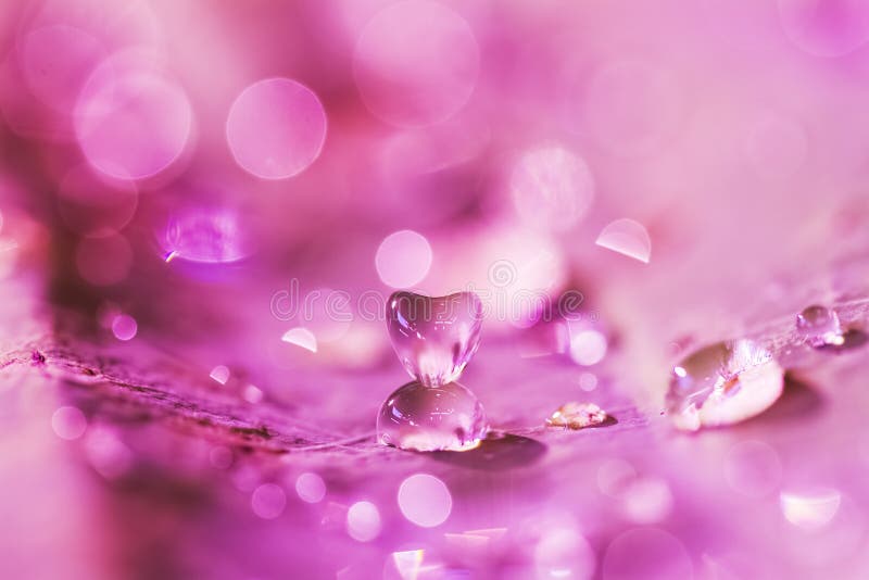 Heart Shape Dew Drop on Leaf Stock Image - Image of flow, clear: 66329029