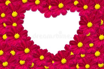 Heart Shape Flower Frame stock image. Image of flower - 19389817
