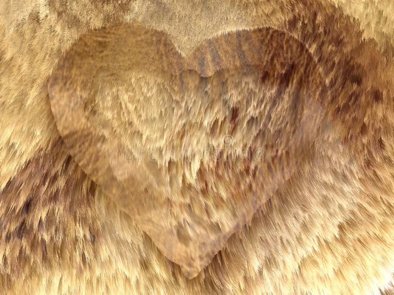 Heart Shape on Fox Fur Pattern Stock Photo - Image of nature, heart ...