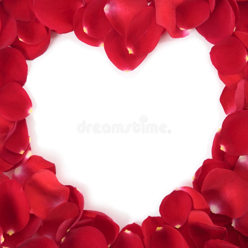 Heart Shape Frame with Red Roses Petals Stock Image - Image of ...