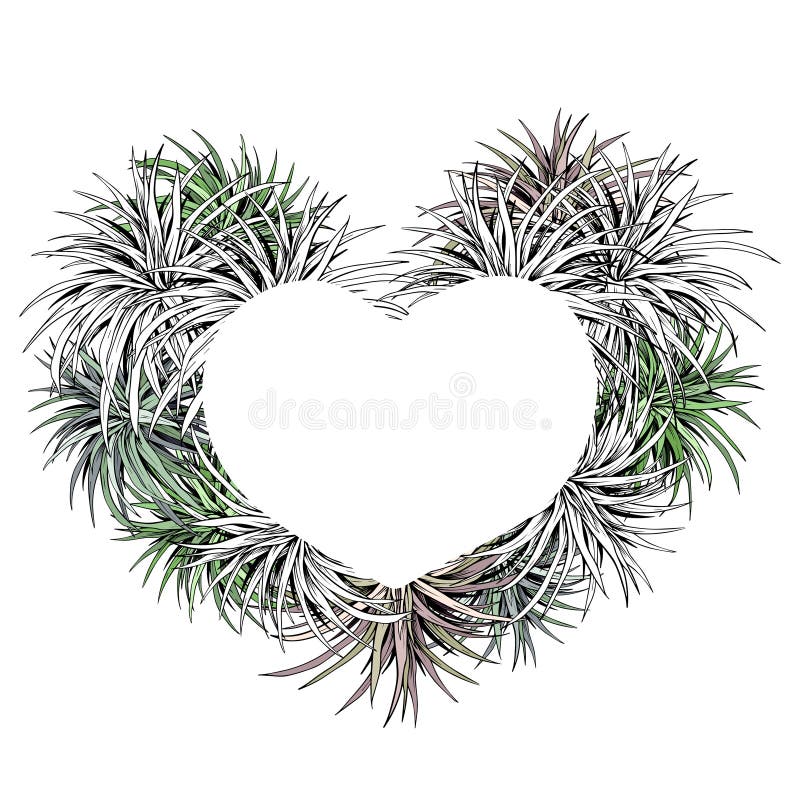 Heart Shape Frame with Tropical Palm Plants. Stock Vector ...