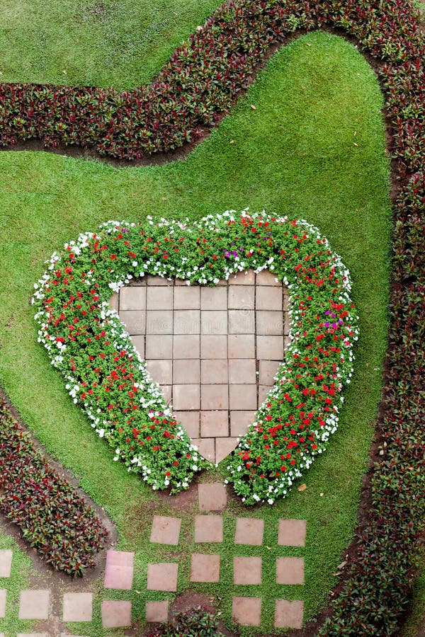 Heart shape garden stock photo. Image of plant, flower - 18700838