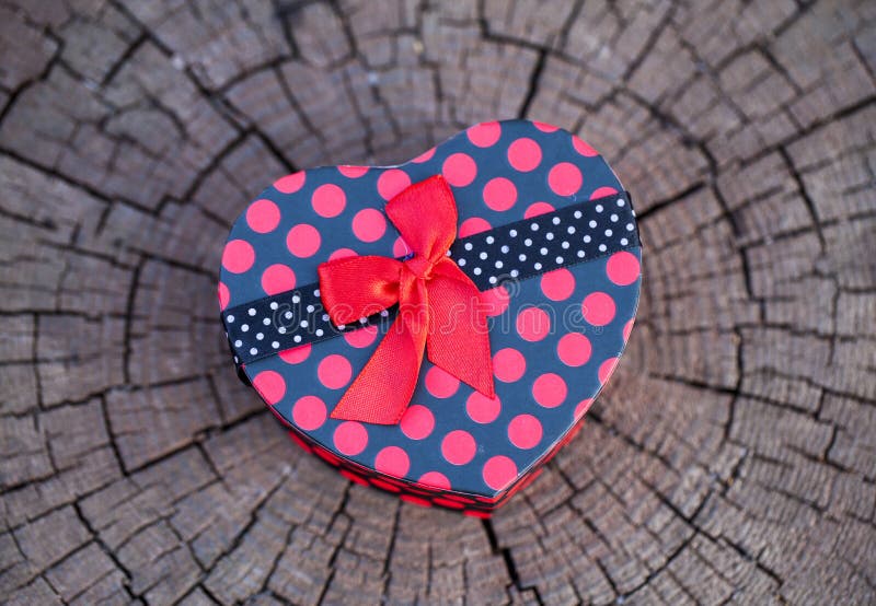 Heart Shape Gift Box on the Tree Trunk Stock Photo - Image of gifts ...