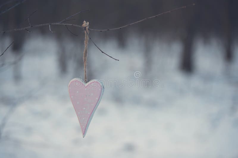 Heart Shape Hanging a Branch Stock Image - Image of romance, snow: 66005381
