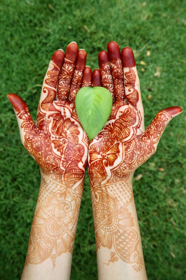 Heart Shape Leaf in Henna Hands Stock Photo - Image of celebration ...