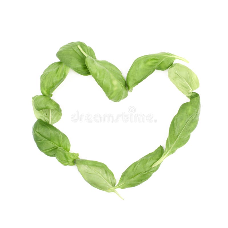 Heart Shape Made of Basil Leaves Stock Image - Image of herb, green ...