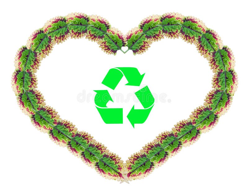 Heart Shape Made from Leaves with Recycle Symbol Stock Photo - Image of ...