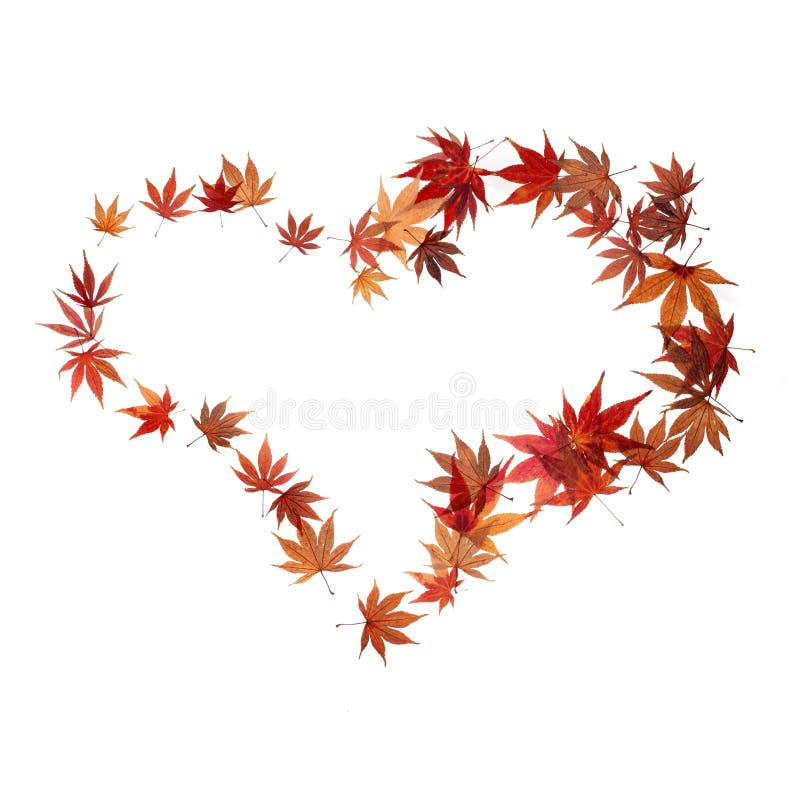 Heart Shape Made by Maple Autumn Leaves Stock Image - Image of retro ...