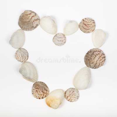 1,396 Sea Shell Heart Shape Stock Photos - Free & Royalty-Free Stock ...