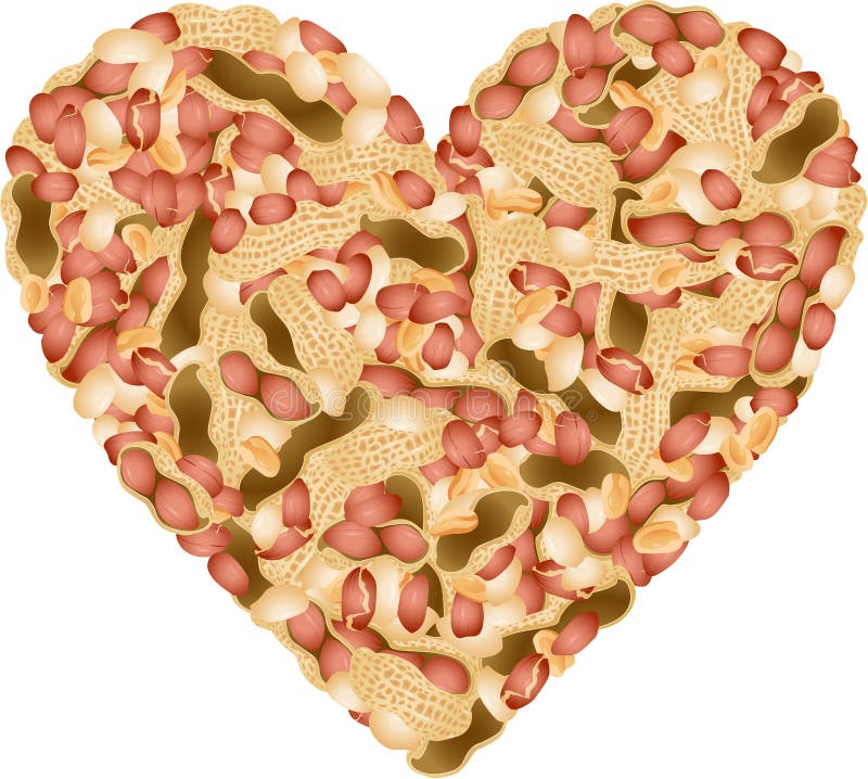 Heart shape of peanuts stock vector. Illustration of graphic - 60605177