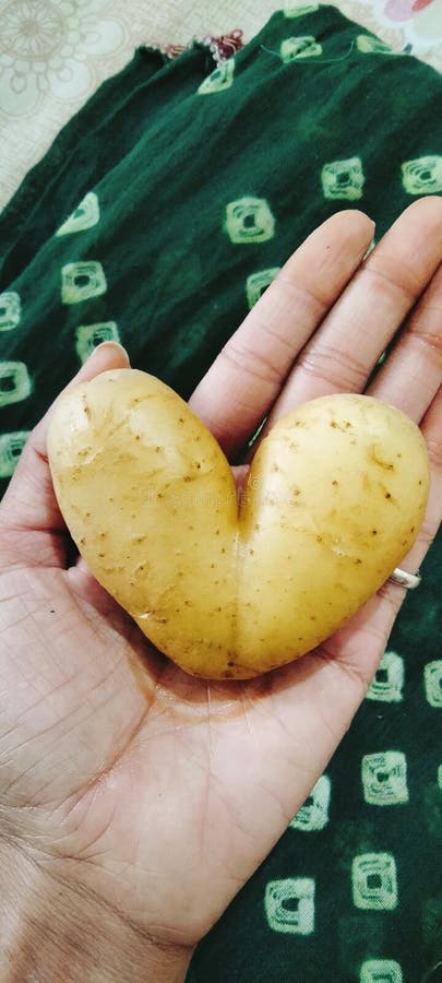 Heart Shape Potato Unique Item Stock Image - Image of item, heart ...